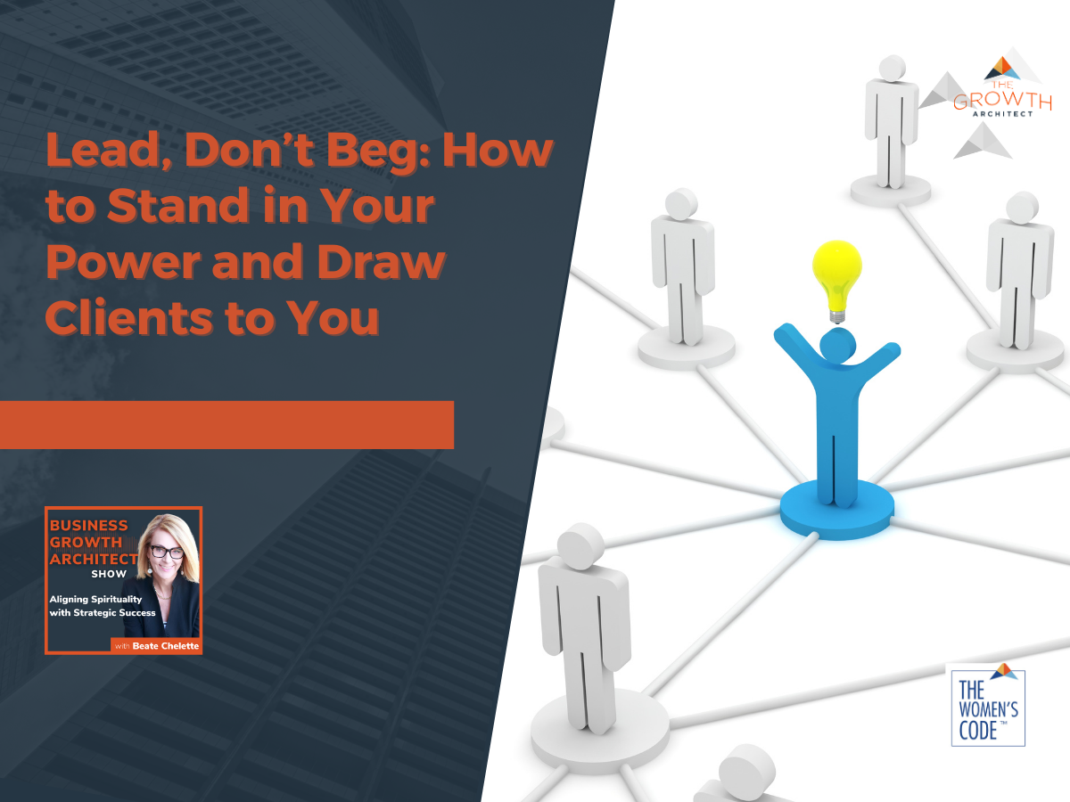 Lead, Don’t Beg: How to Stand in Your Power and Draw Clients to You ...